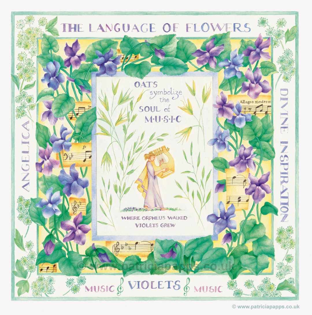 The Language of Flowers Violets - Etsy