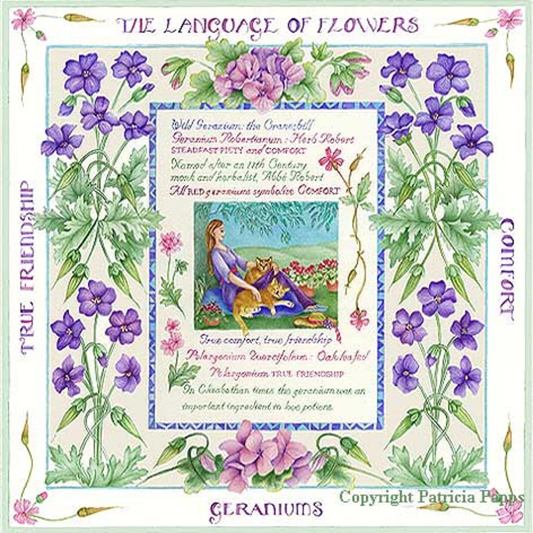 The Language of Flowers Geraniums - Etsy