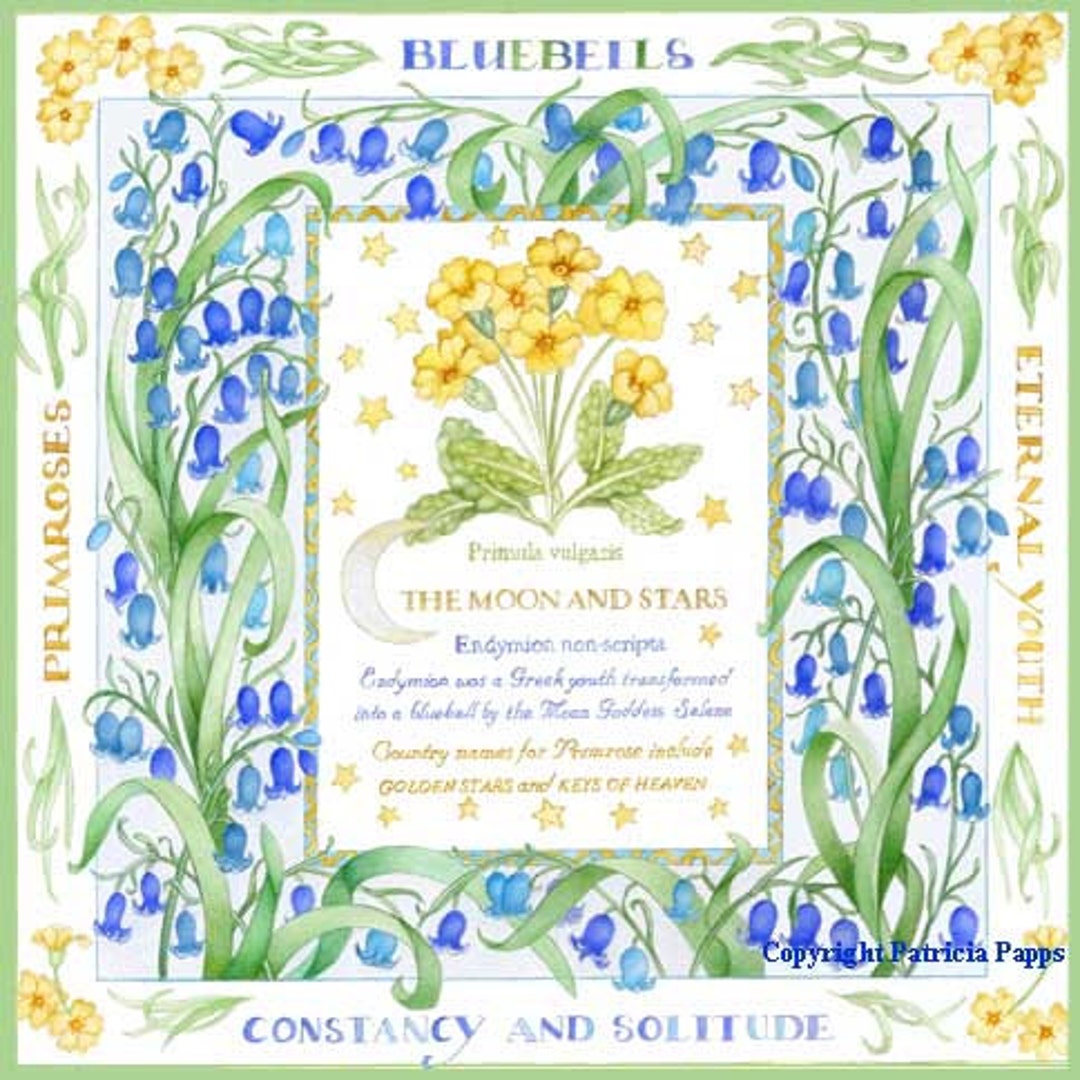 The Language of Flowers Bluebells and Primroses - Etsy UK