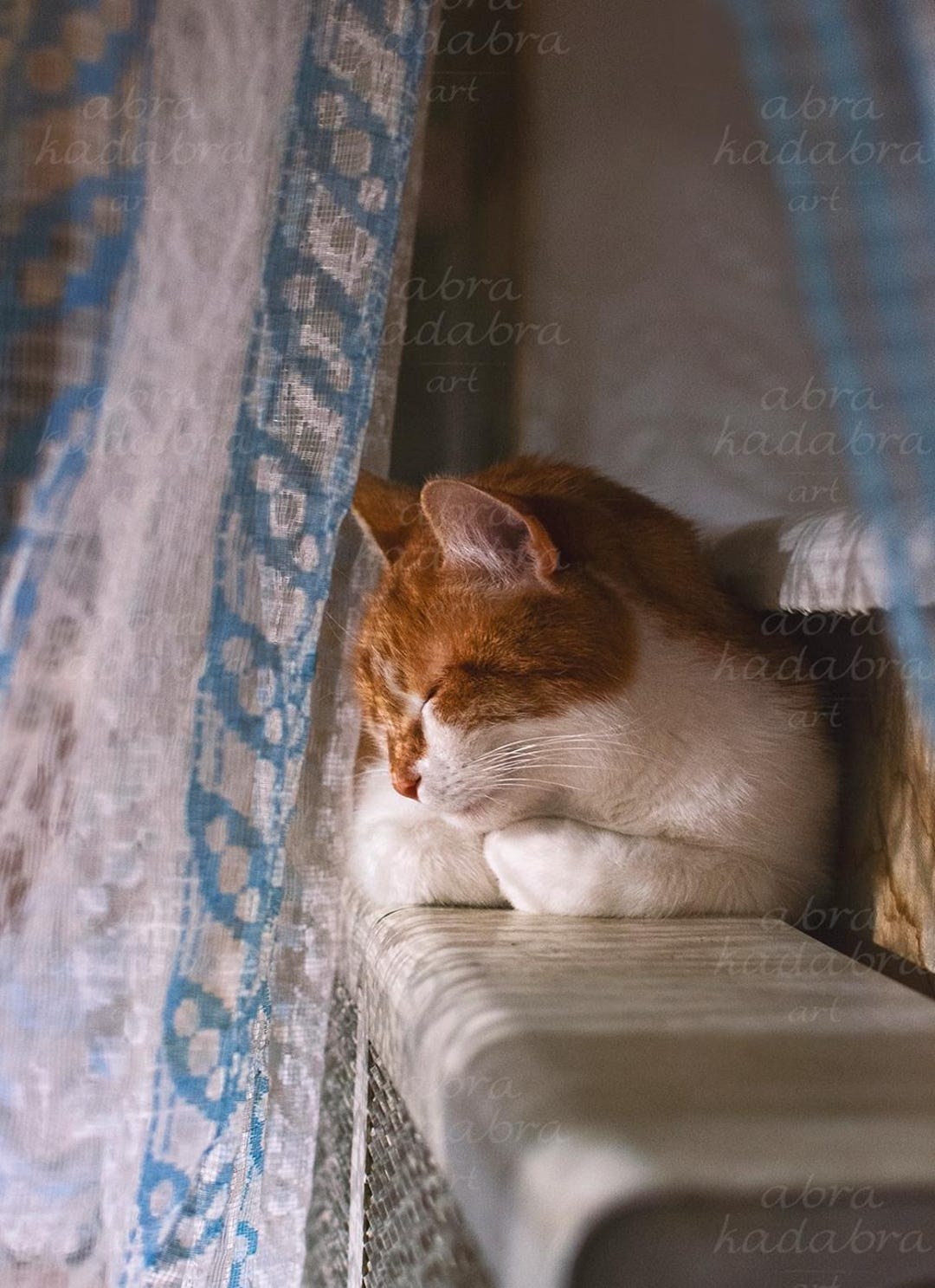 Sleeping Ginger Cat Digital Printable Photography, Cozy Cat in Lacy ...