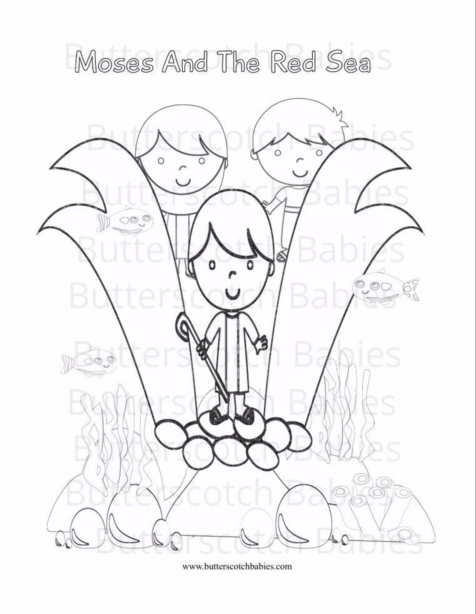 Jw Kids Bible Stories Coloring Book Jw Jw Gifts Jw Stuff - Etsy