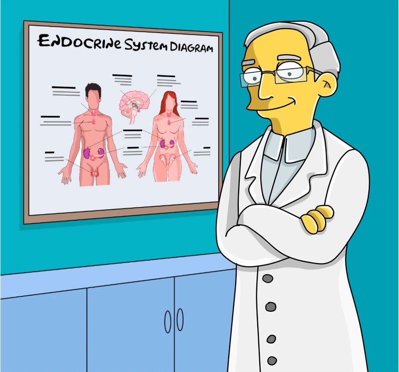 Endocrinologist Gift Custom Cartoon Portrait / Endocrinology - Etsy