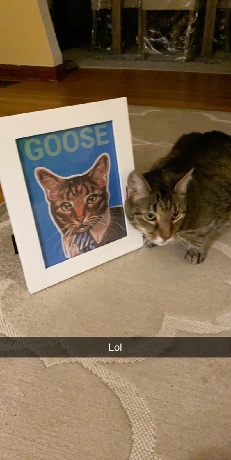 Custom Pop Art Cat Portrait from photo / custom cat portrait / | Etsy