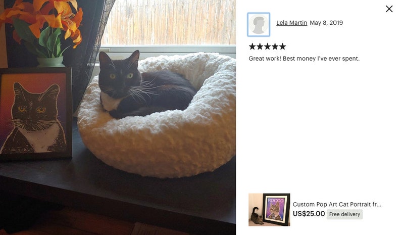 Custom Pop Art Cat Portrait from photo / custom cat portrait / | Etsy