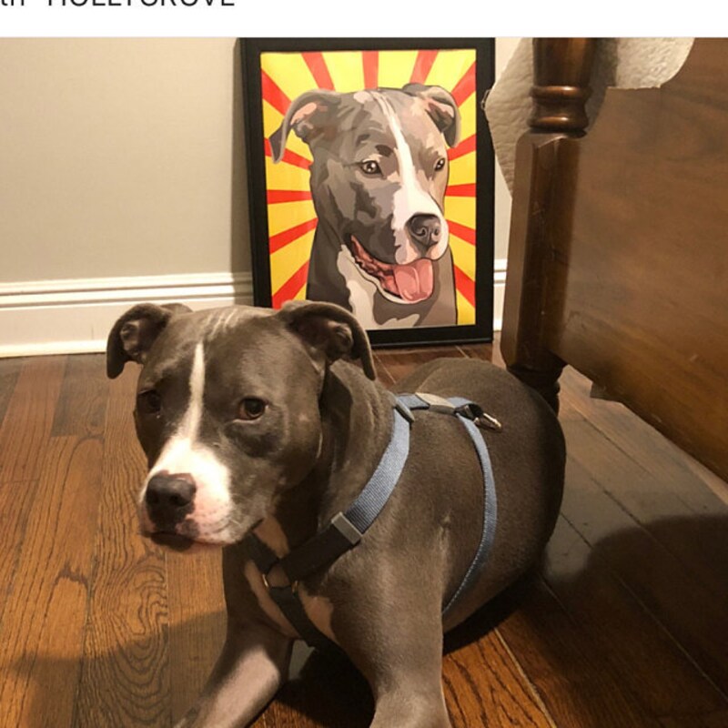 Pop Art Pet Portrait - Etsy