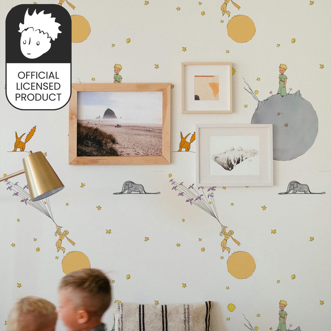 Official Little Prince Imagination Freedom Wallpaper - Symbolic White ...