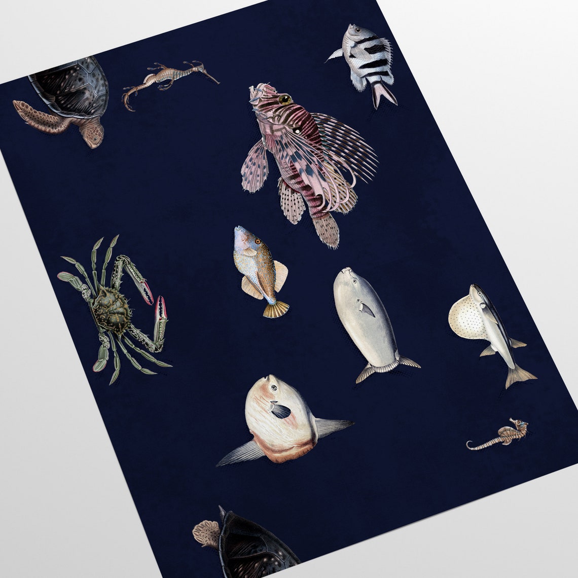 Dark Fish Wallpaper for Feature Wall Whimsical Design - Etsy