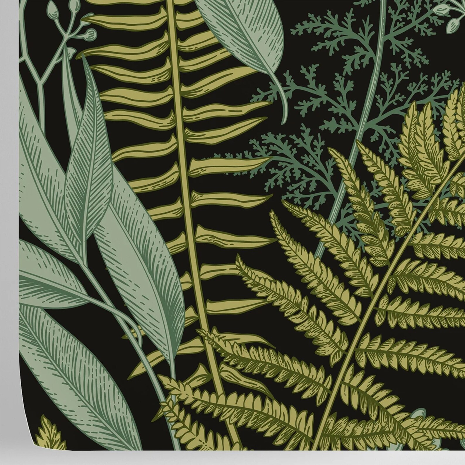Greenery Fern Botanical Wallpaper Leaf Illustration Nature - Etsy