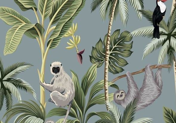 CUSTOM Monkey wallpaper, Monkeys Wallpaper, monkeys, wallpaper, jungle ...