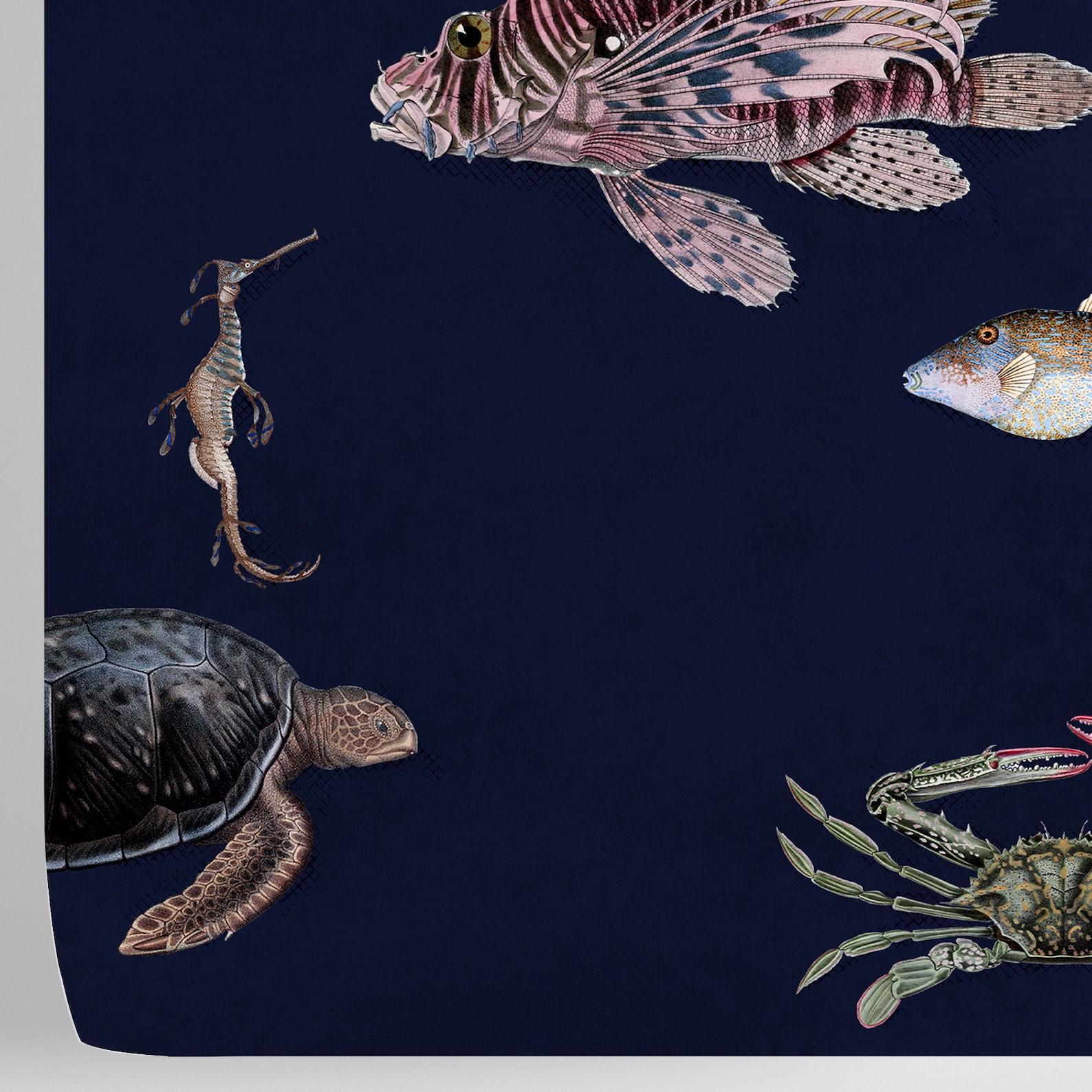 Dark Fish Wallpaper for Feature Wall Whimsical Design - Etsy