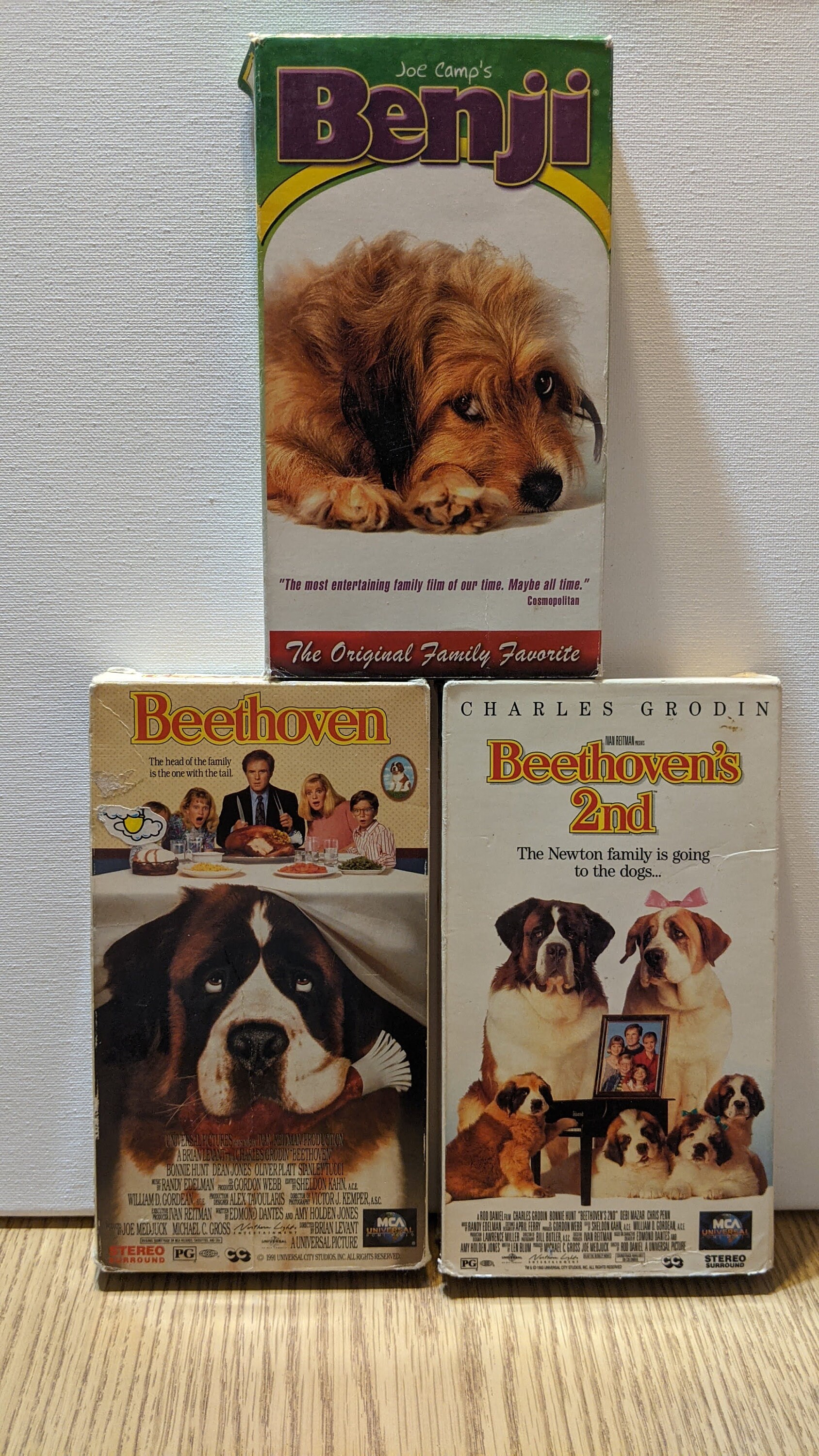 Beethoven Dog Movie