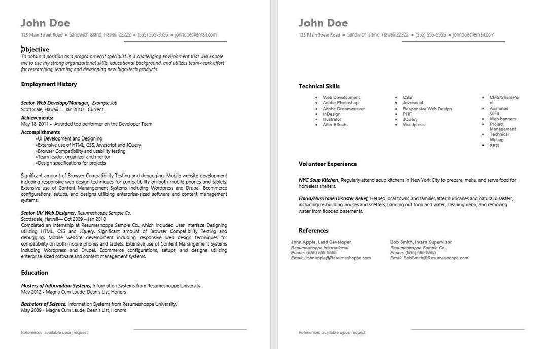 Two Page Professional Resume Template / Professional Resume / Resumes ...