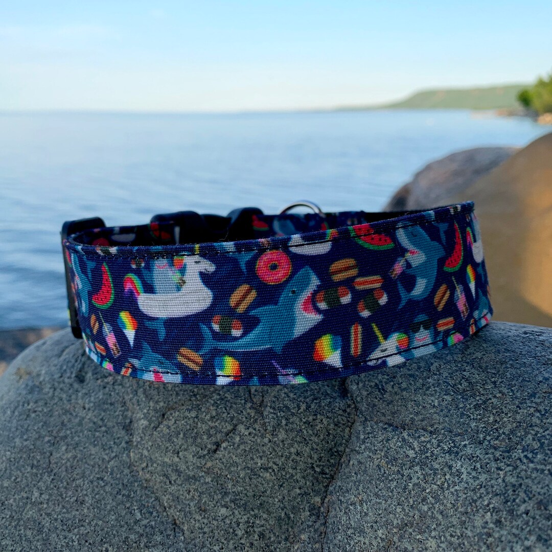 Summer Chummer Dog Collar - Dog Collar - Summer Dog Collar - Shark Dog ...