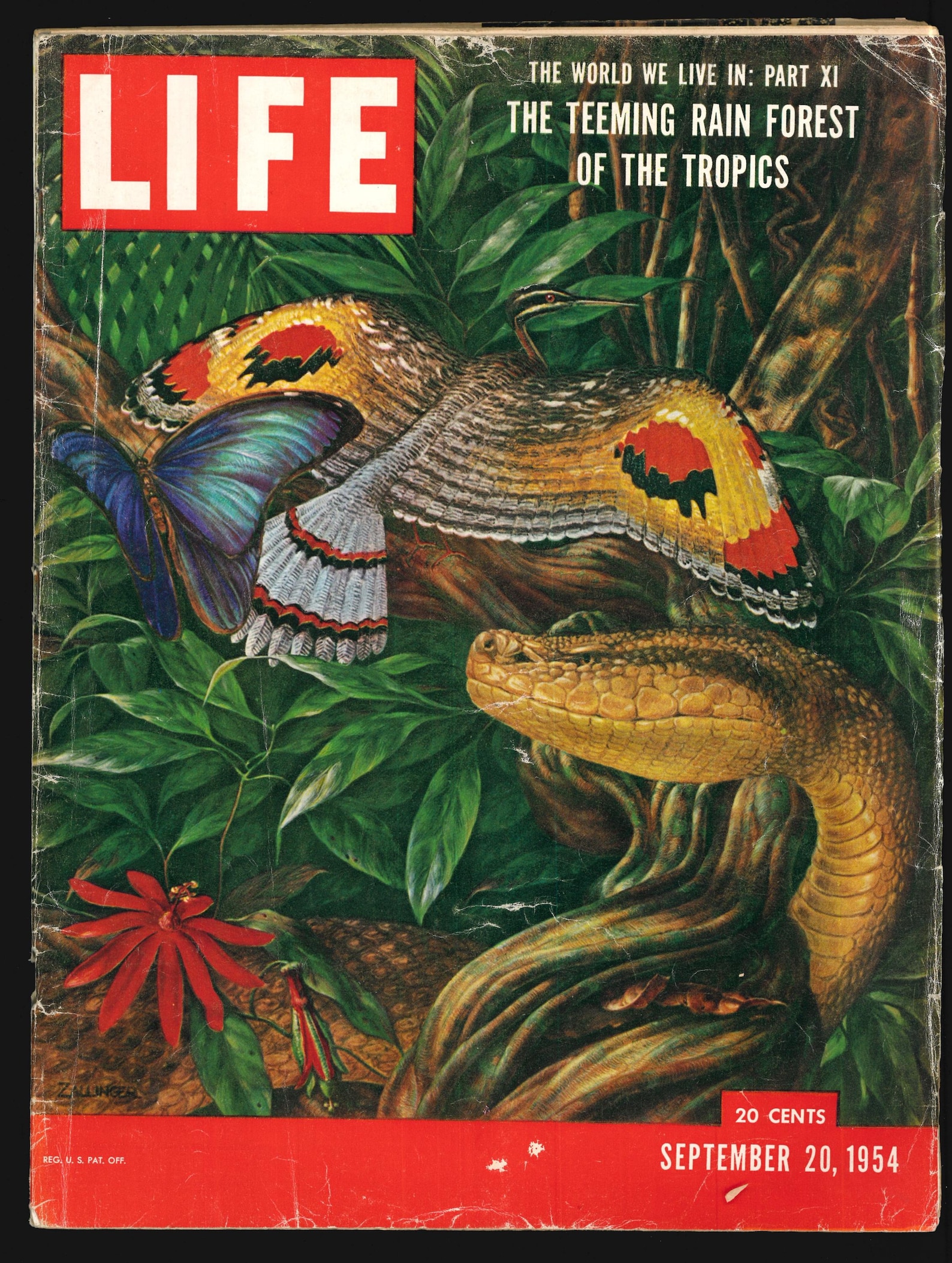 Life Magazine Sept Oct 1954 Original Vintage Magazine 70th - Etsy