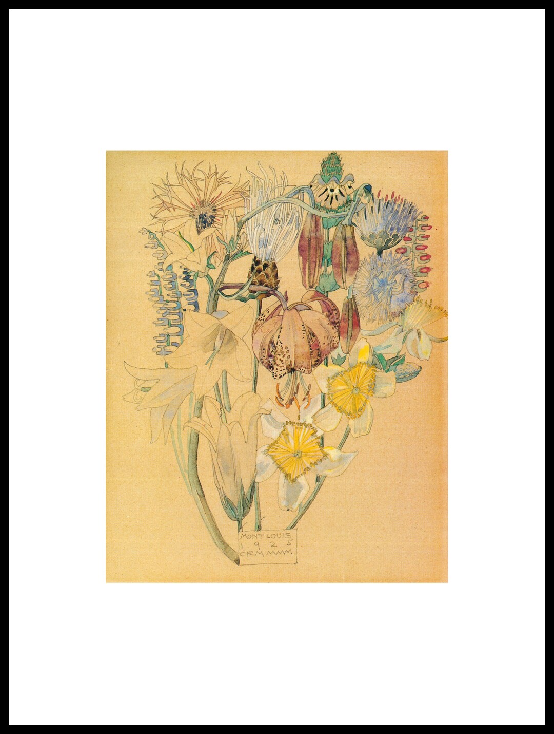 Mont Louis 1925 Charles Rennie Mackintosh Original Tear Sheet Window ...