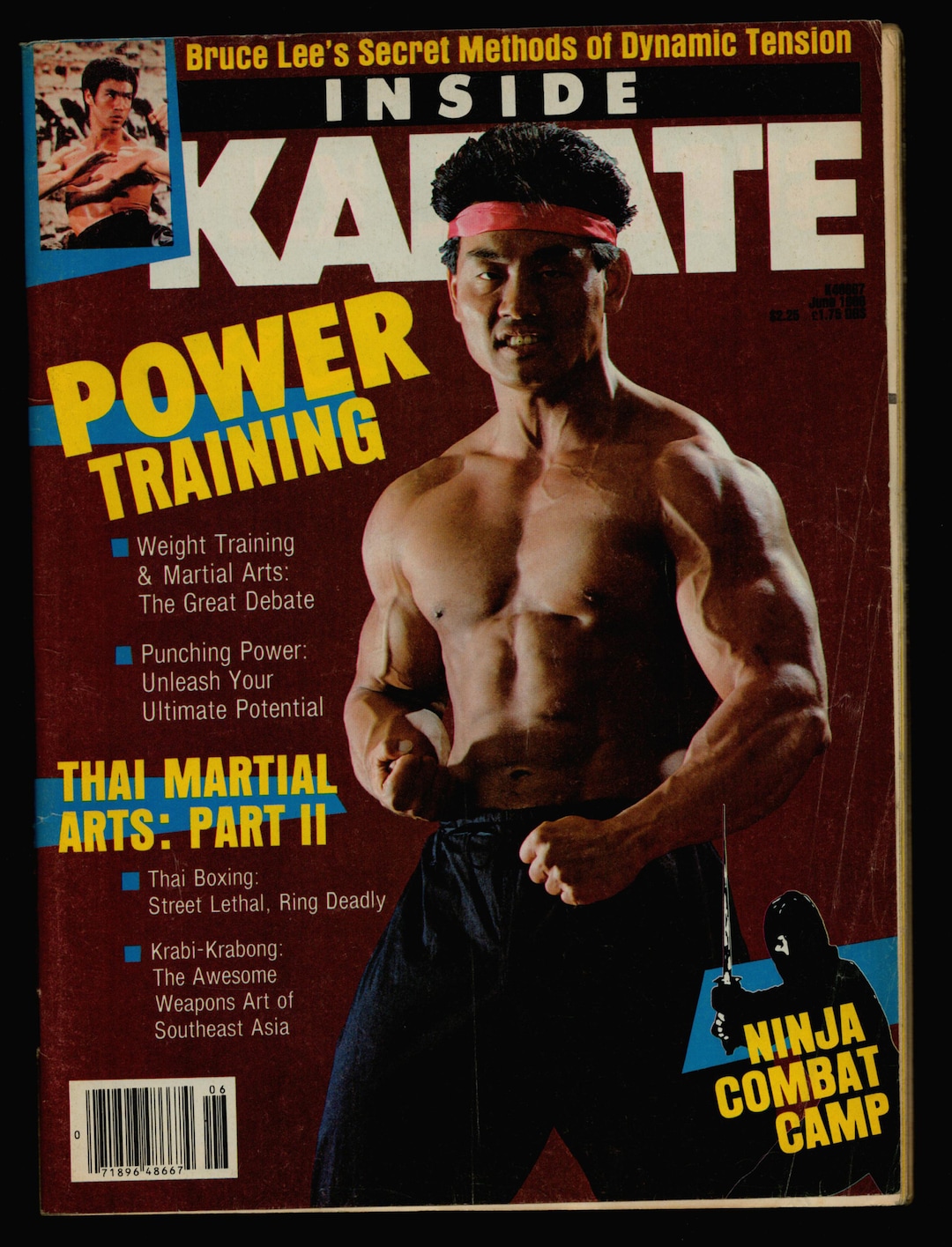 Inside Karate Magazine June 1986 Vol 7 No 6 Cover: Peter Liu - Etsy