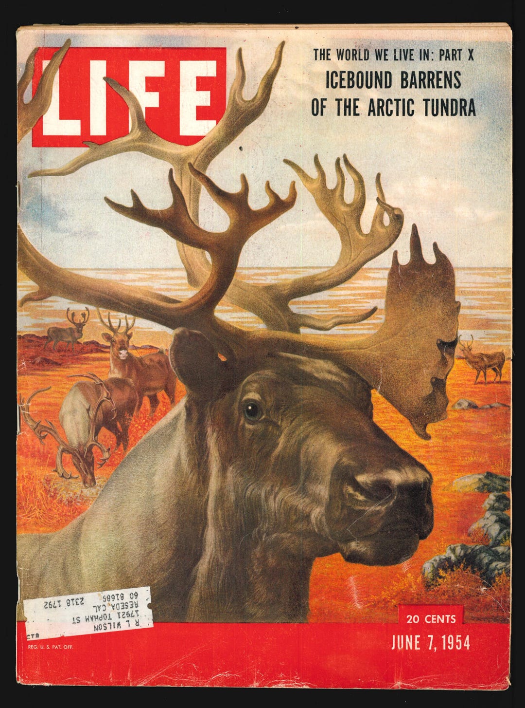 Life Magazine June July 1954 Original Vintage Magazine 70th - Etsy