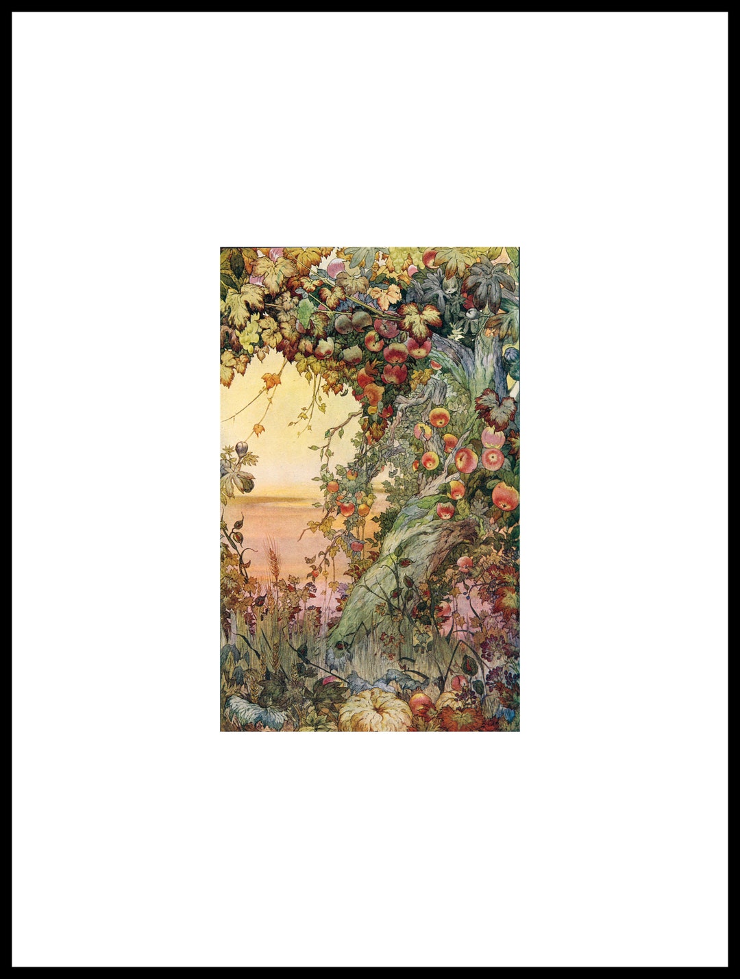 The Fruits of the Earth Edward J. Detmold Original Tear Sheet Window ...