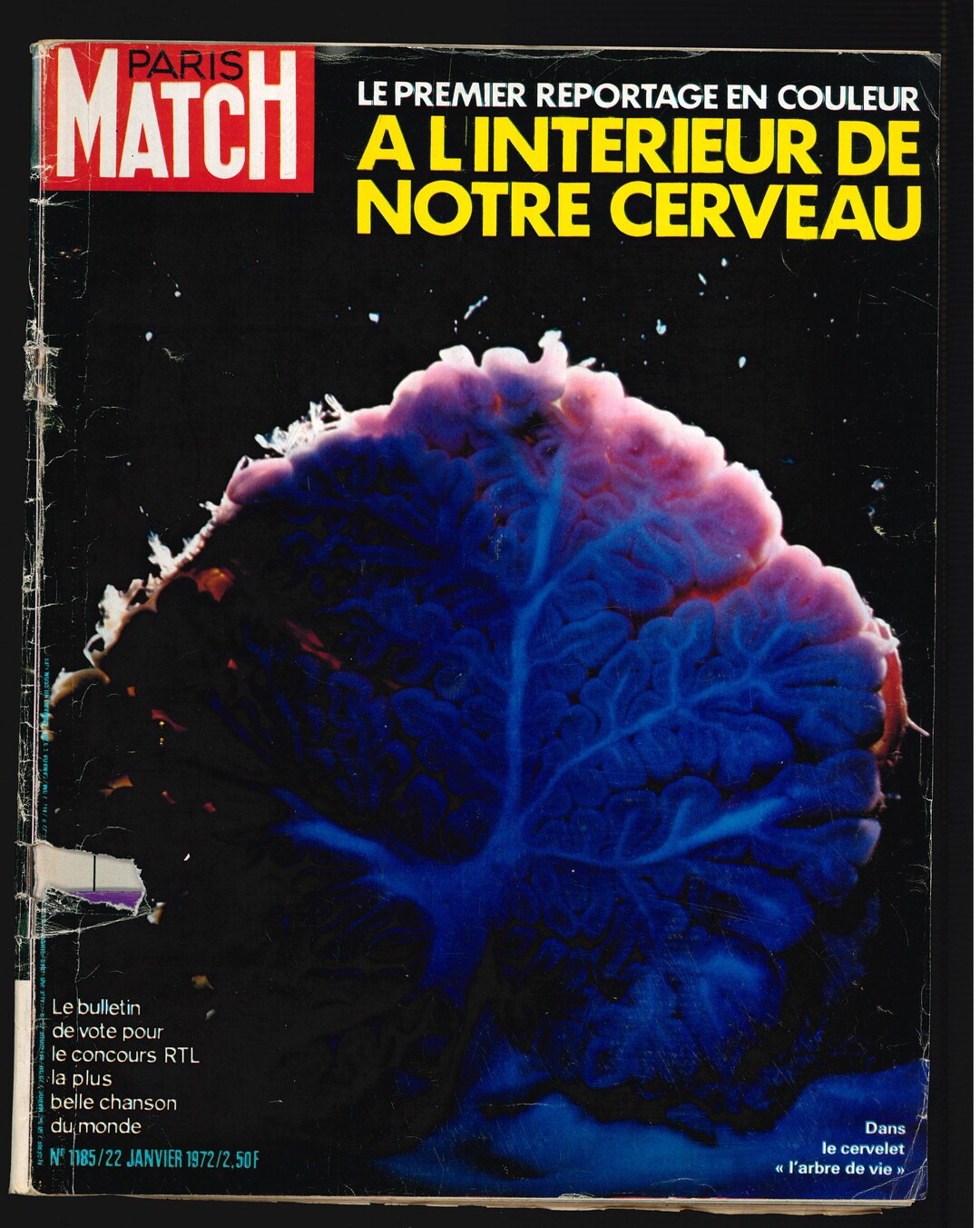 Paris Match Magazine Jan - 1972 Original Vintage Magazine - Etsy