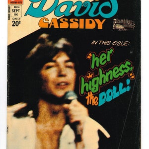 David Cassidy Magazine Comic Collectables - Etsy