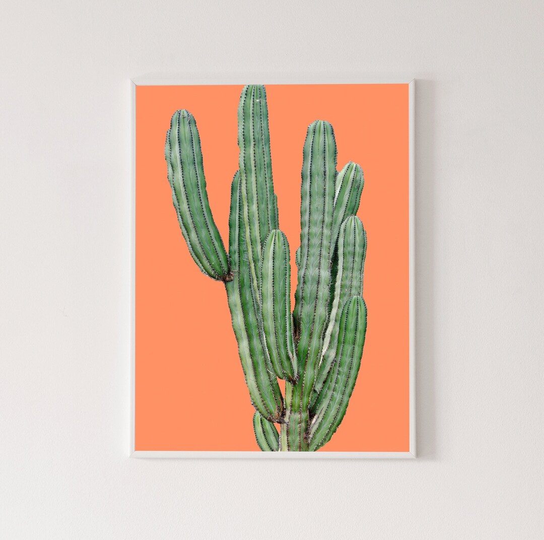 Orange Cactus Poster, High Quality Print, Home Decor, Wall Art ...
