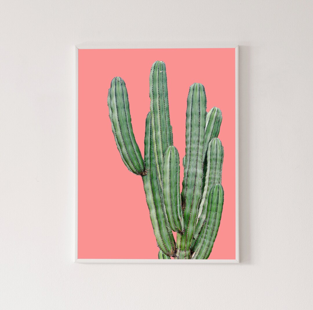 Pink Cactus Poster, High Quality Print, Home Decor, Wall Art ...