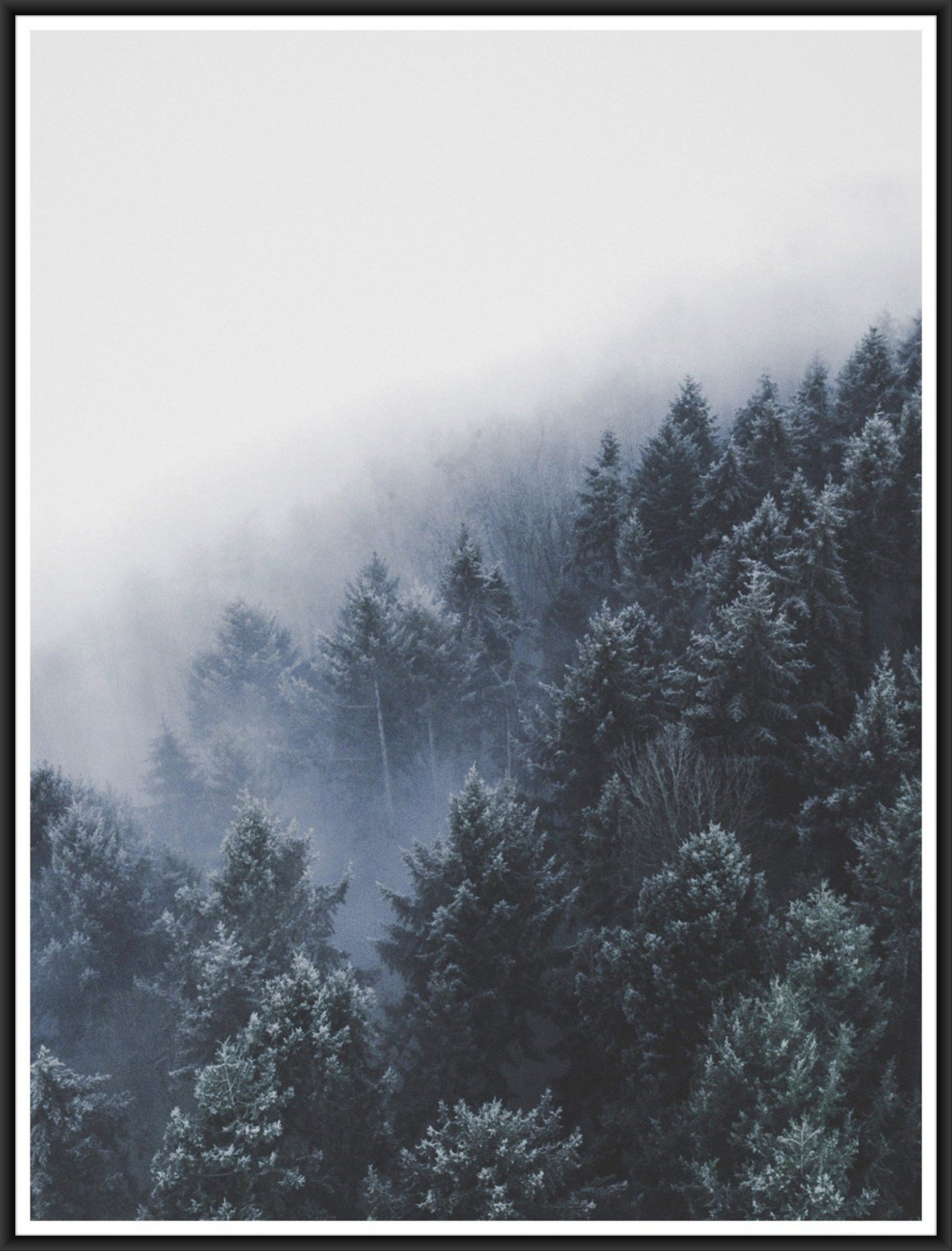 Forest Hillside Poster High Quality Print Home Decor Wall - Etsy