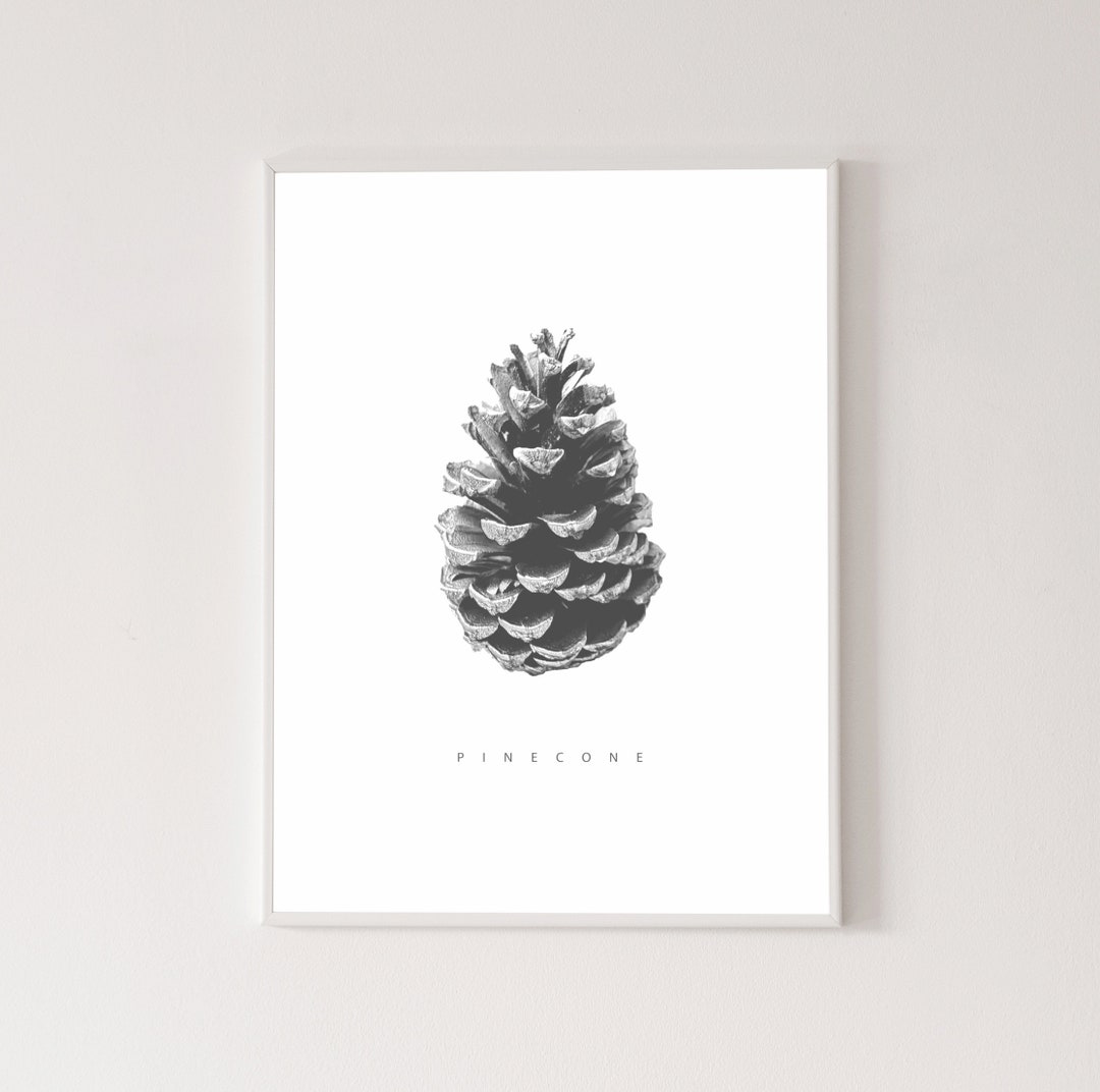 Pine Cone Poster, High Quality Print, Home Decor, Wall Art ...
