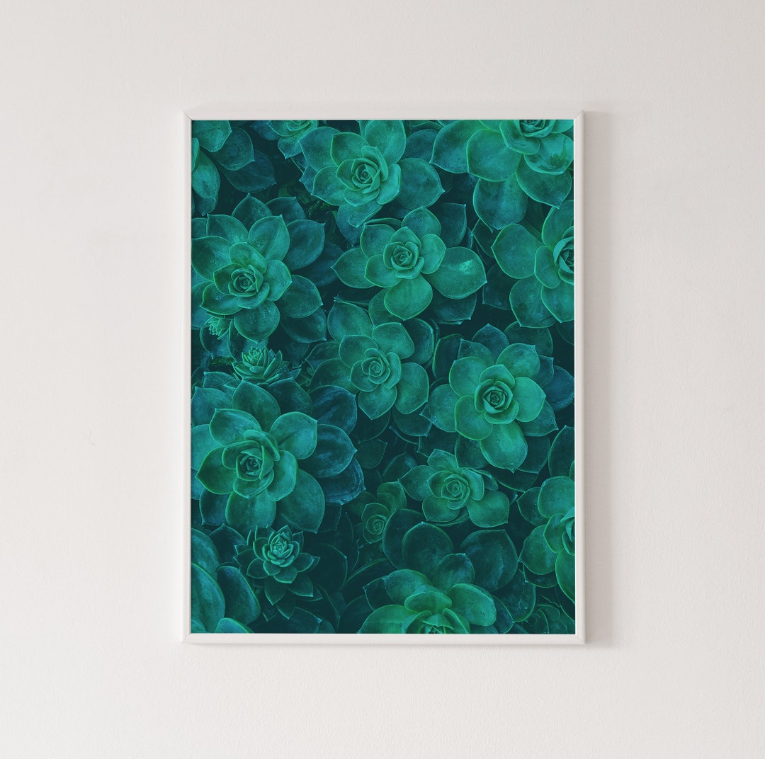 Green Succulents Poster, High Quality Botanic Print, Nature Photography ...