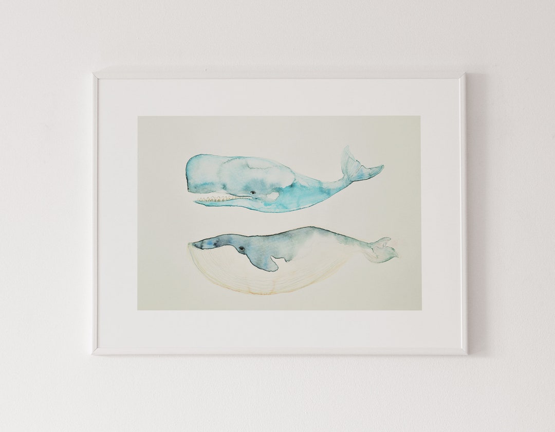 Whales Illustration Print, Whale Poster, Nursery Decor, Kids Bedroom ...