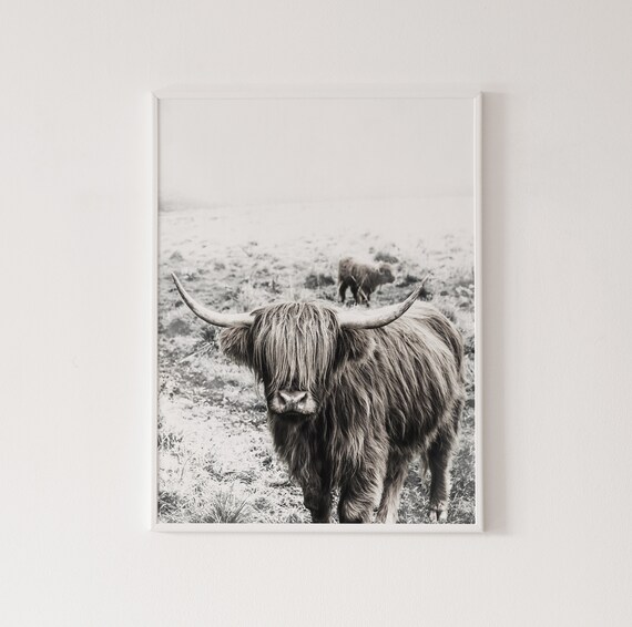 Highland Cows Poster High Quality Print Home Decor Wall | Etsy