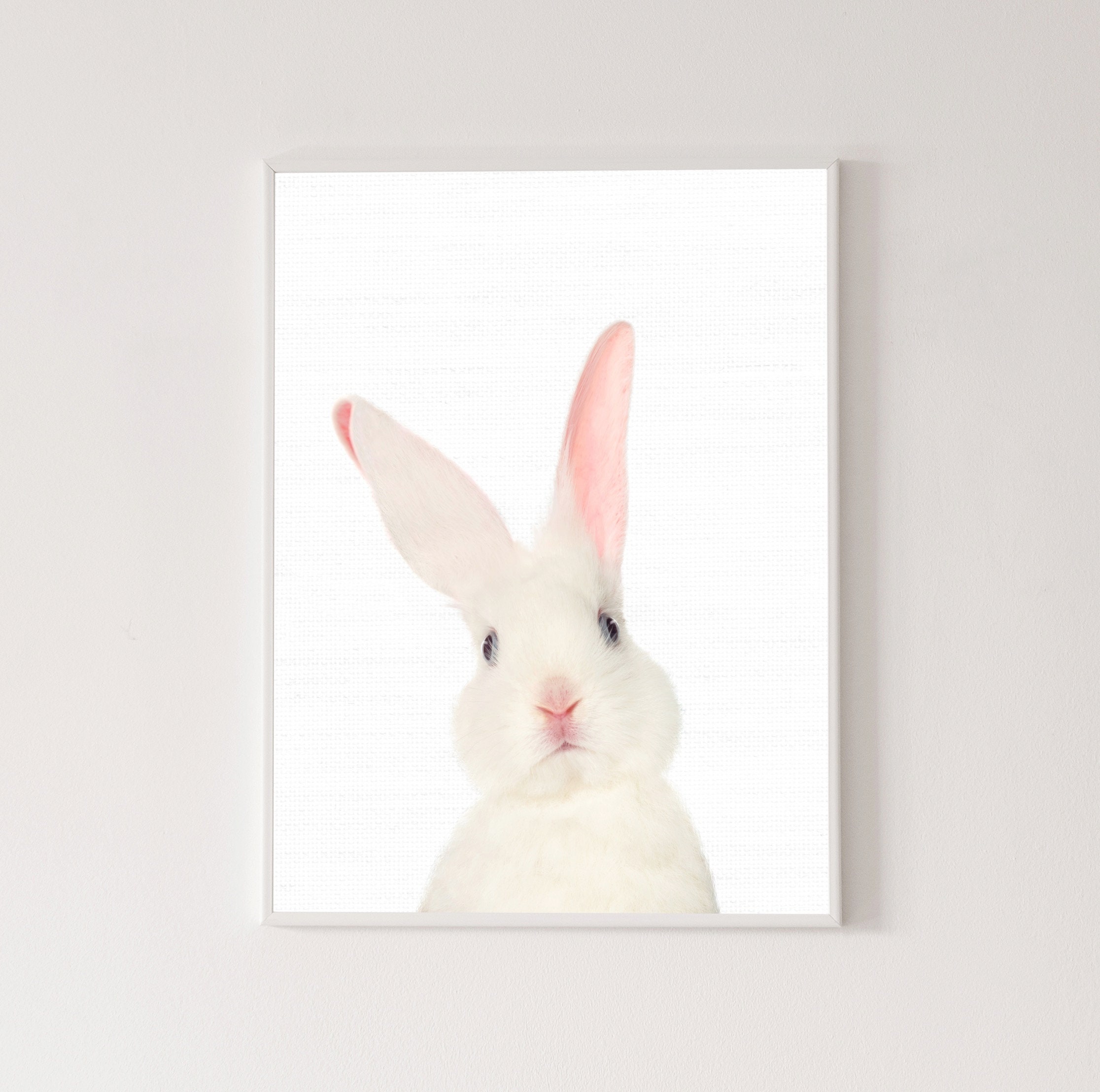 White Rabbit Movie Poster