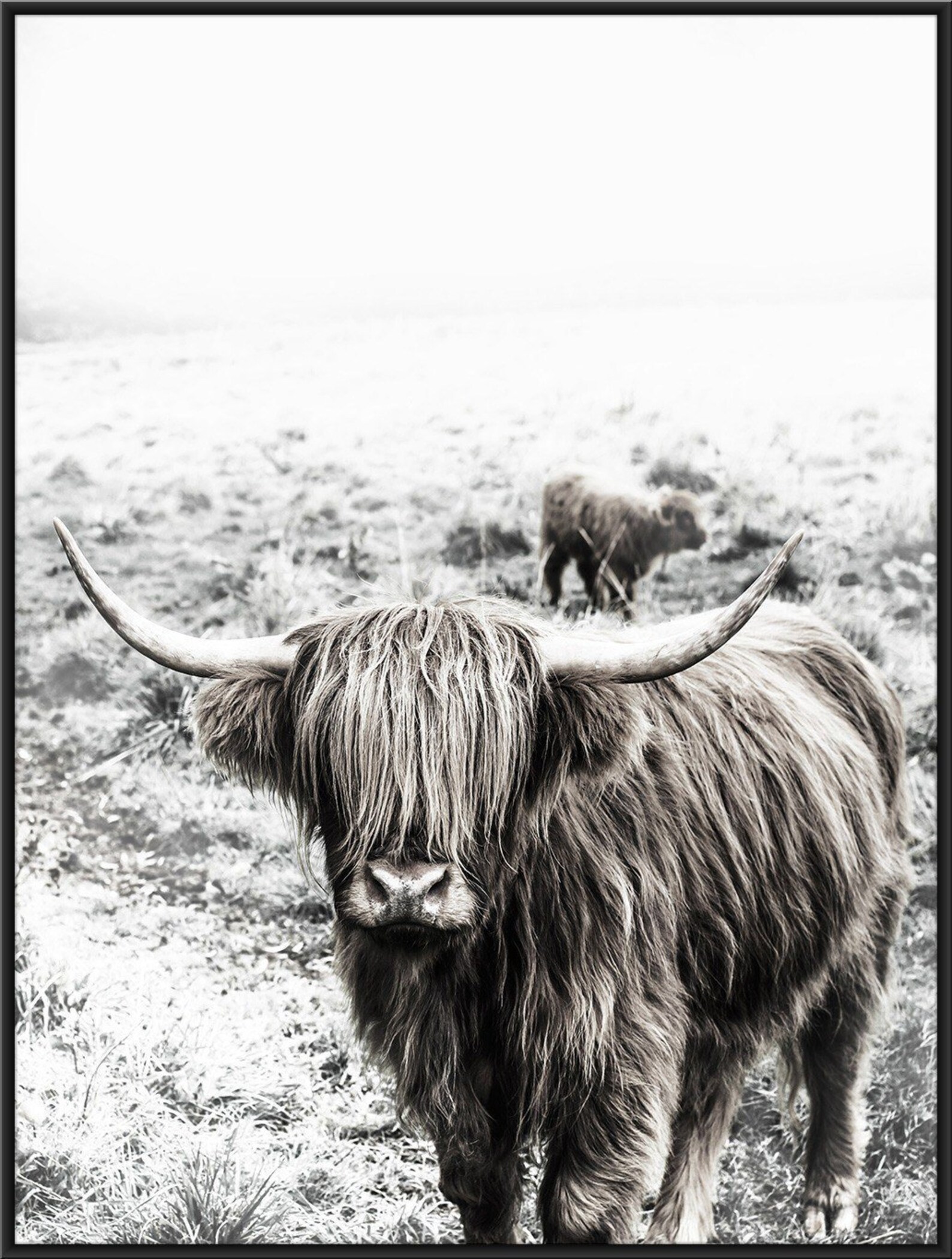 Highland Cows Poster, High Quality Print, Home Decor, Wall Art ...
