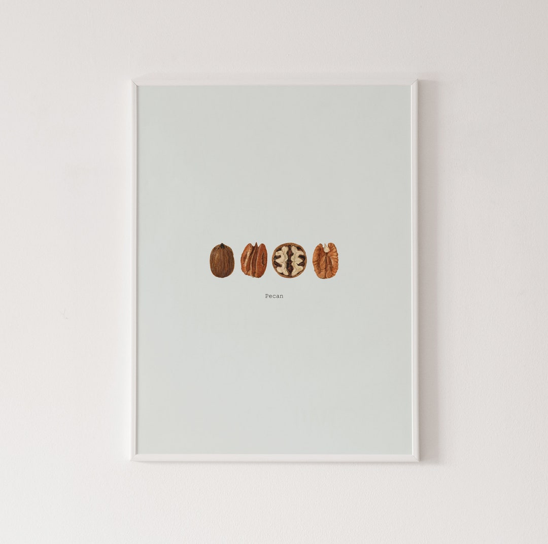 Pecan Poster, High Quality Print, Home Decor, Wall Art, Contemporary ...