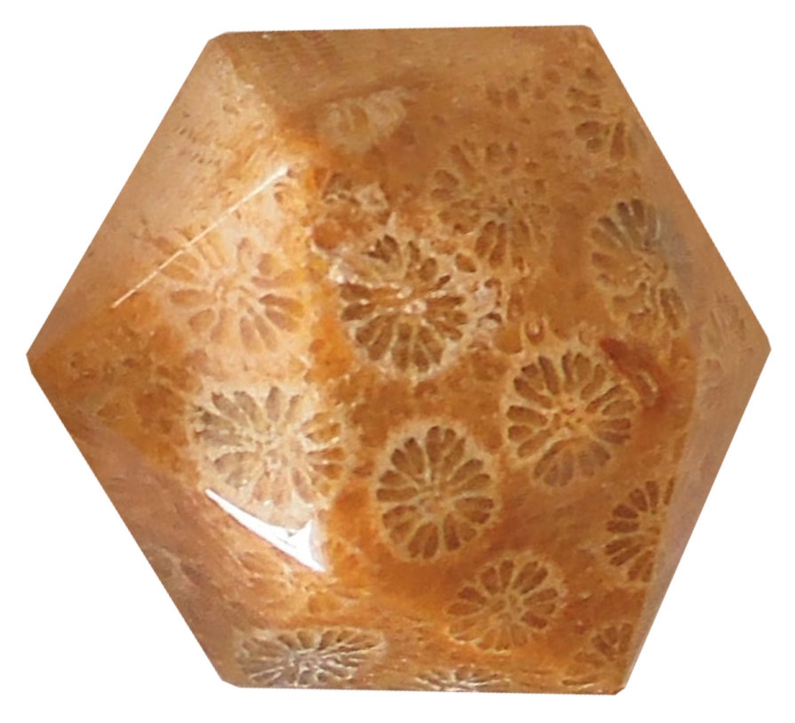 Coral Fossil Gemstone Polyhedral Dice Set: Hand Carved With - Etsy Canada