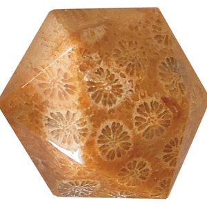 Coral Fossil Gemstone Polyhedral Dice Set: Hand Carved With Quality ...
