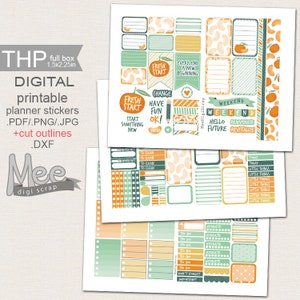 Tangerine Fresh Start Printable Planner Stickers for Classic Happy ...