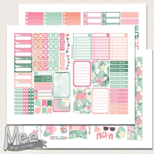 Summer Planner Stickers Printable Kit for Classic Happy Planner ...