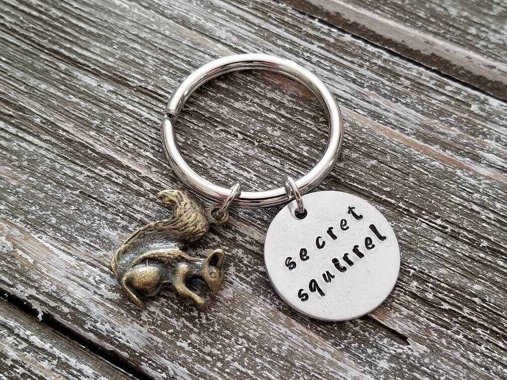 Squirrel Keychain Secret Squirrel Animal Keychain Funny - Etsy