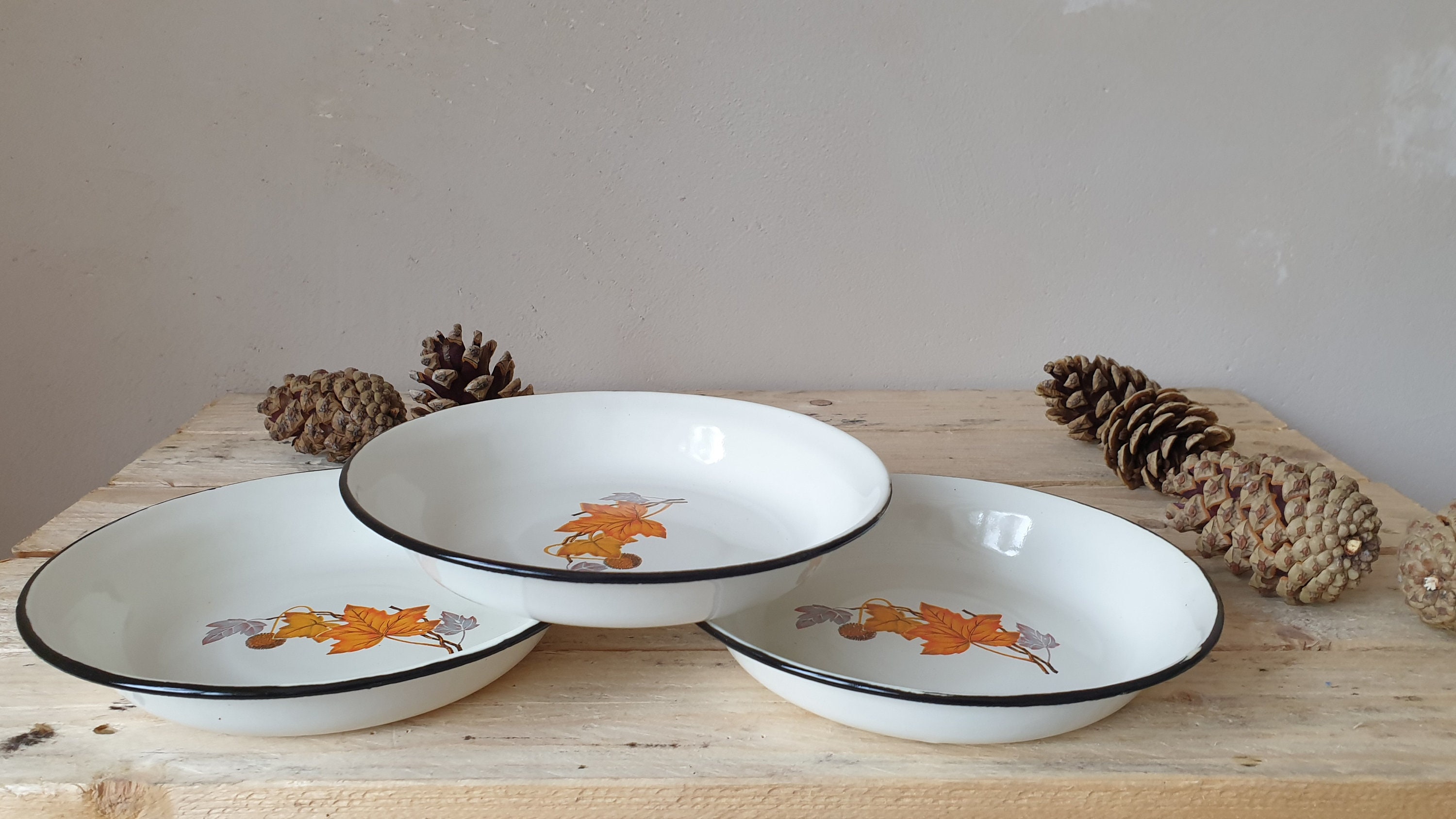 Soviet Set of 3 Enamel Leaf Print Plates Bowls USSR Enamelware Kitchen ...