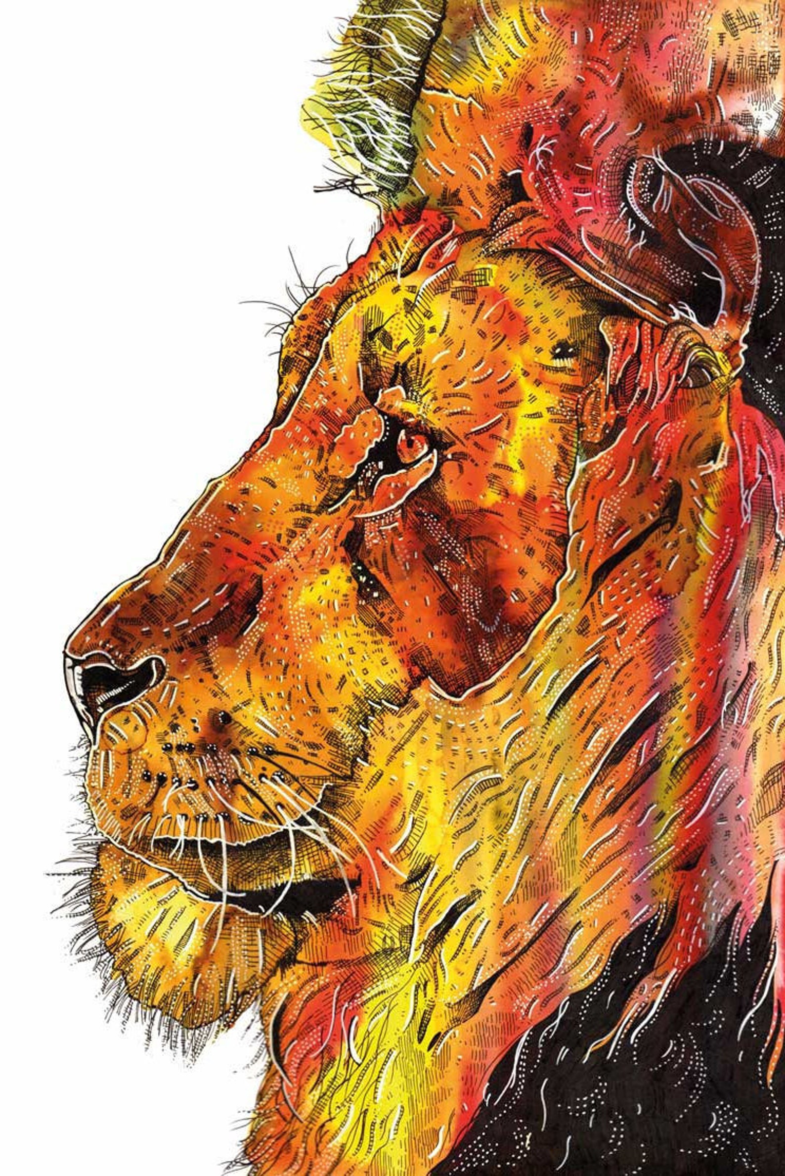 Illustrated Lion Print - Etsy