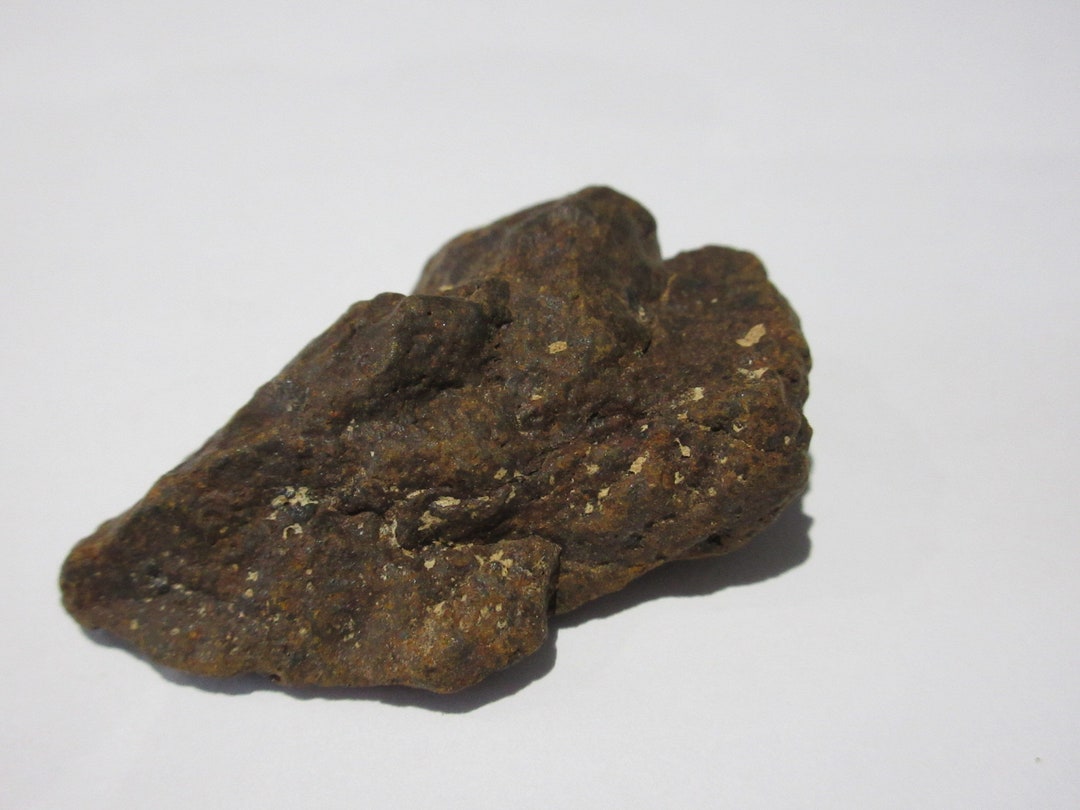 NWA Meteorite - Chrondite - Etsy