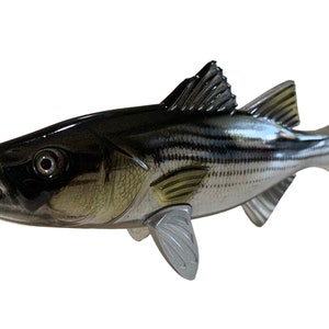 Striped Bass Replica - Etsy
