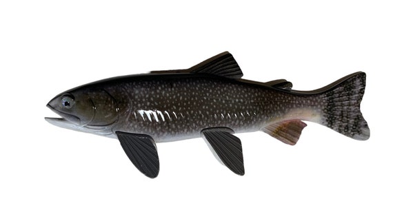 Realistic Lake Trout Replica - Etsy