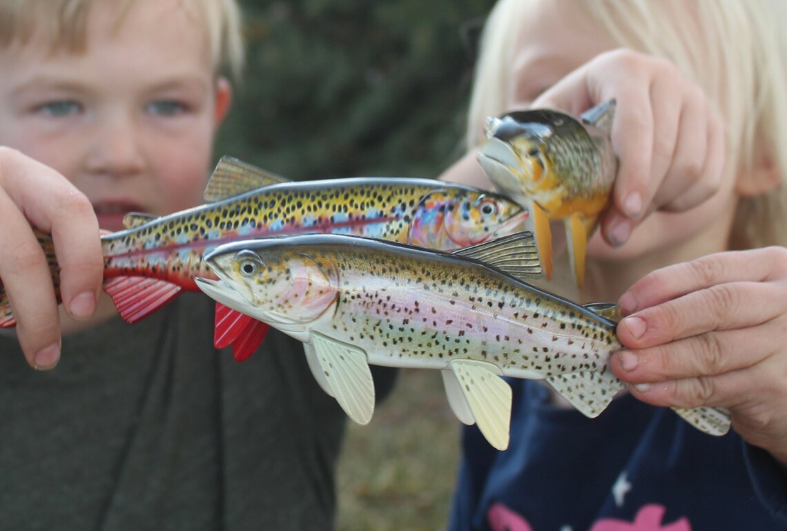 Realistic Brown Trout Replica - Etsy