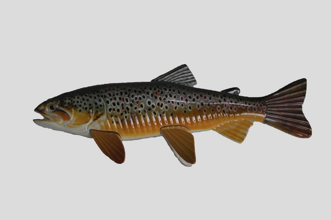 Realistic Brown Trout Replica - Etsy
