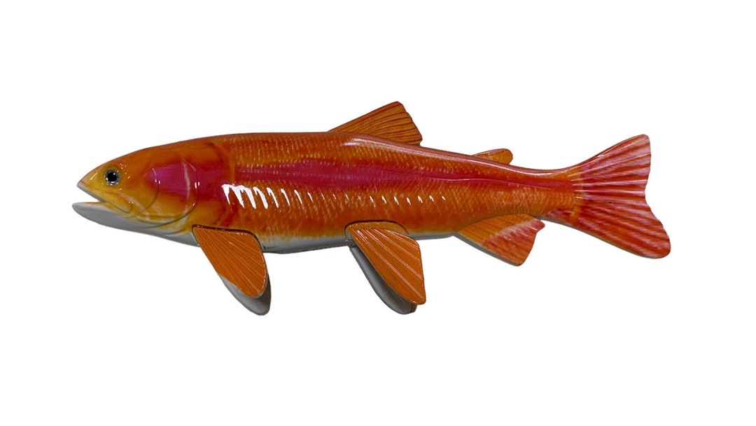 Realistic Palomino Trout Replica - Etsy