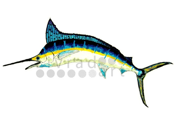 Marlin Watercolor & Ink Print | Etsy