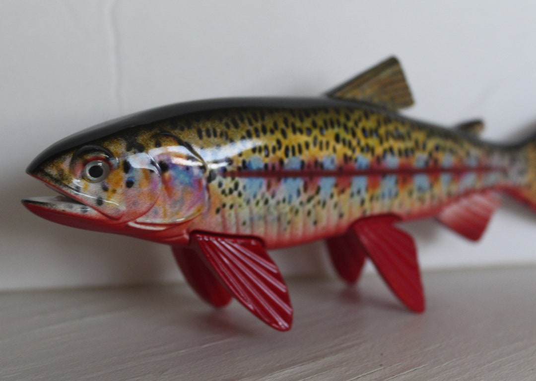 Realistic Golden Trout Replica - Etsy