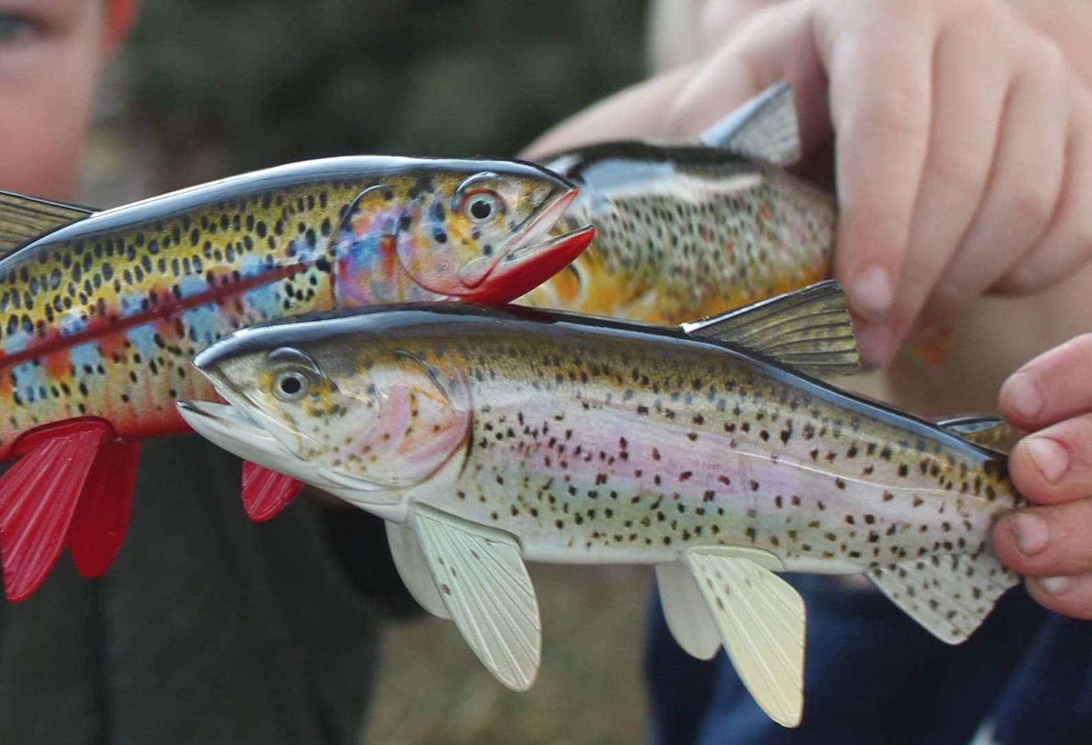 Realistic Trout 3 Pack rainbow Brown and Golden - Etsy